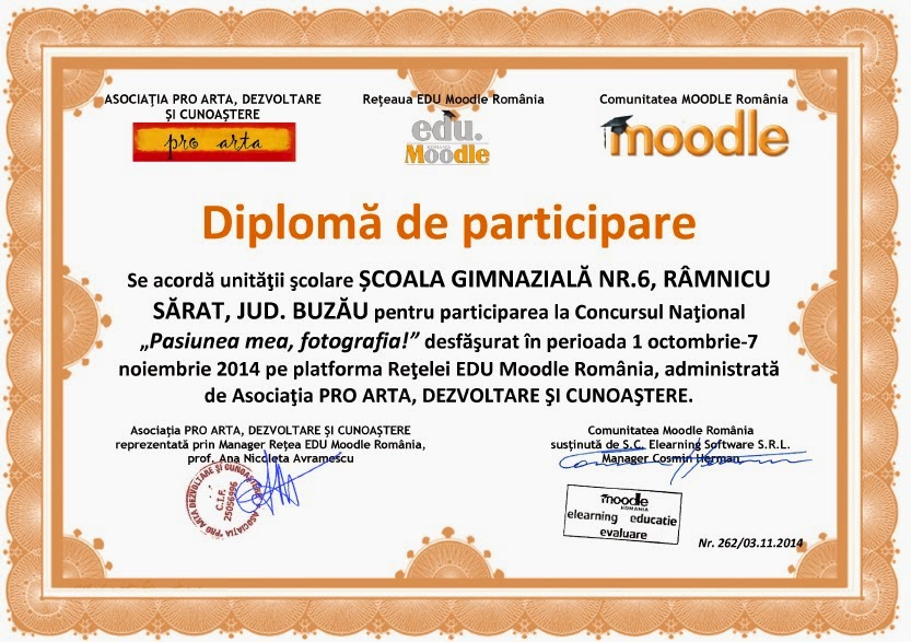 Competente Digitale Ramnic