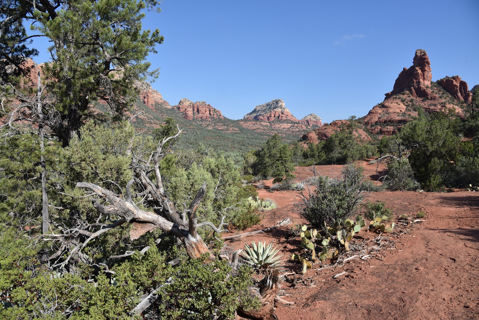 Arizona Hiking: ANT HILL LOOP