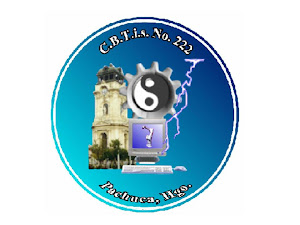 Que te parece la educación en el CBTis no.222