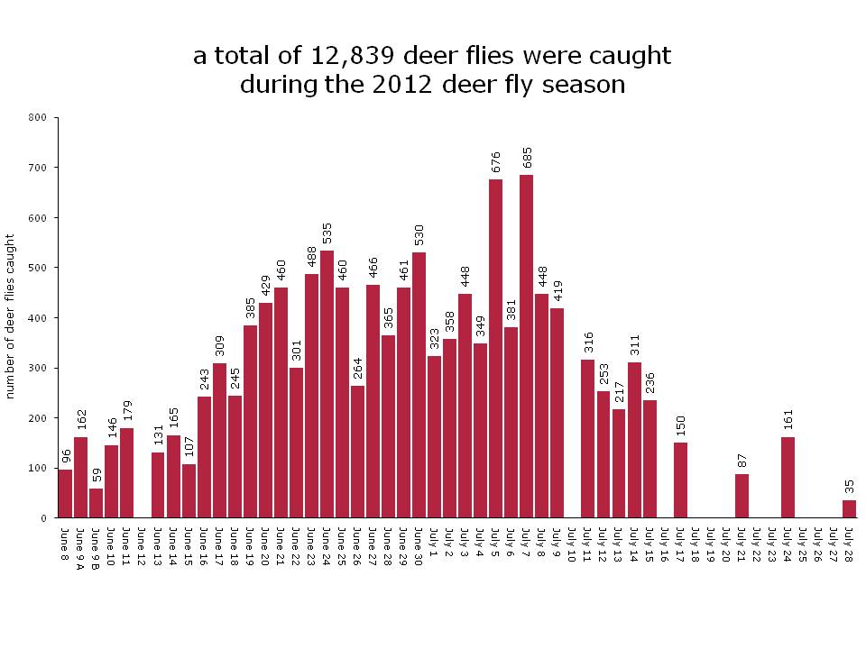 Trapping Deer Flies in Livingston County, Michigan: the 2012 deer fly ...