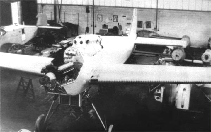 nhungdoicanh: Junkers Ju-49