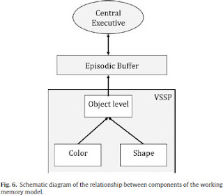 Research Kinda thing in Ratology (Formerly Disability etc in Ratology ...