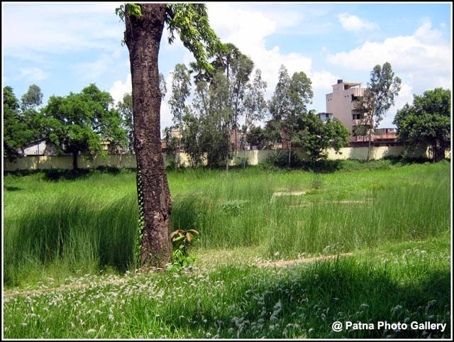 Patna Photo Gallery: Kumhrar Park Photos