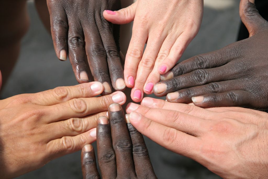 LA VIOLENCIA RACIAL TIENE MULTIPLES Y VILES EXPRESIONES