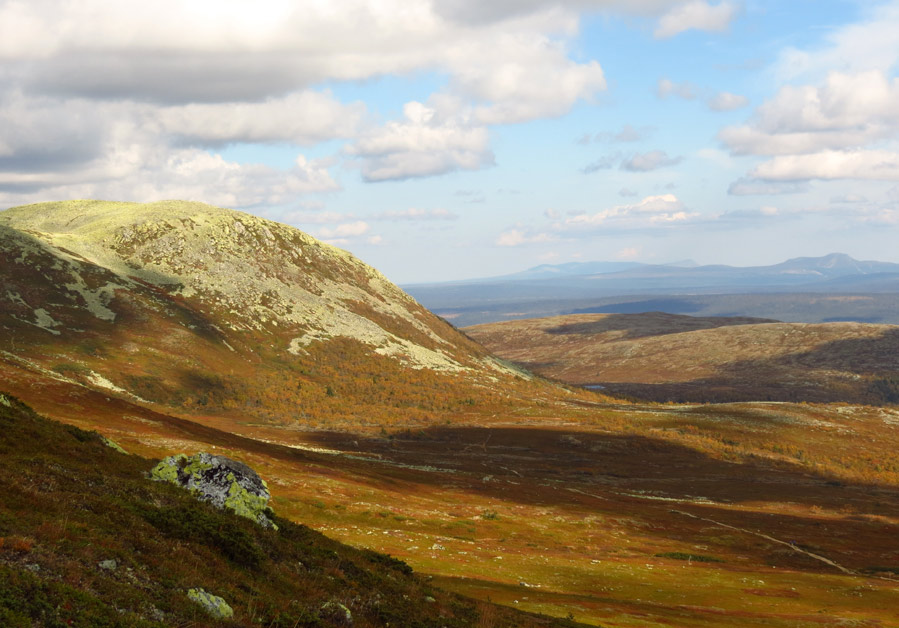 What is the most unique landscape you have near where you live? : r ...