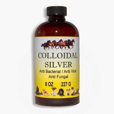 Dog & Cat Health Tips | Nutrition Pets: Colloidal Silver to Help with ...