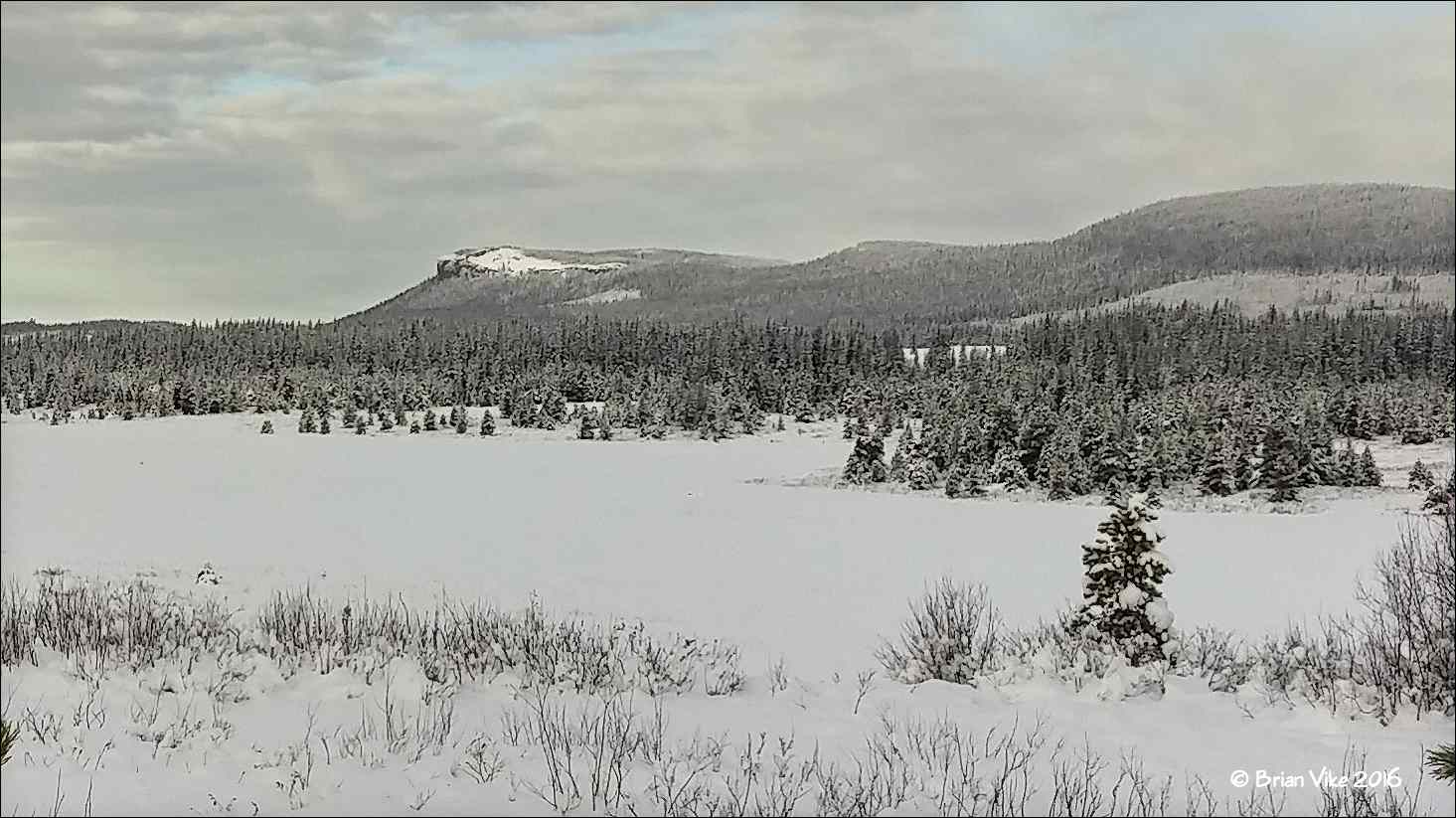 Northern Interior British Columbia: Winter's December 2015 Snowfall 2 ...