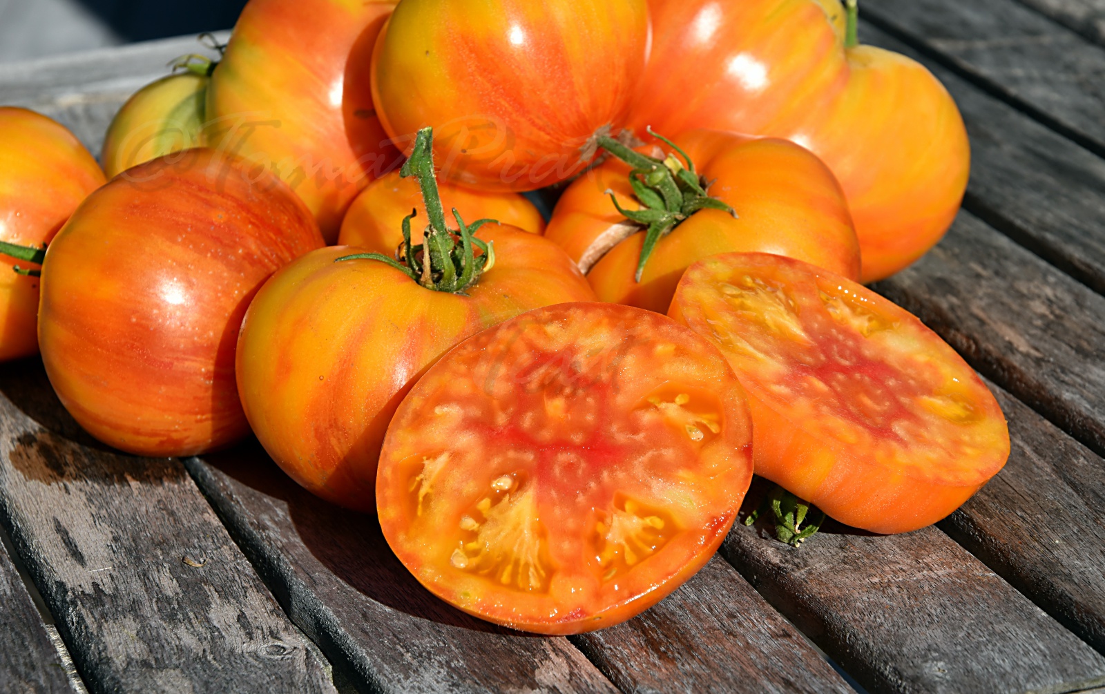 Helenes Tomater: Dwarf Confetti