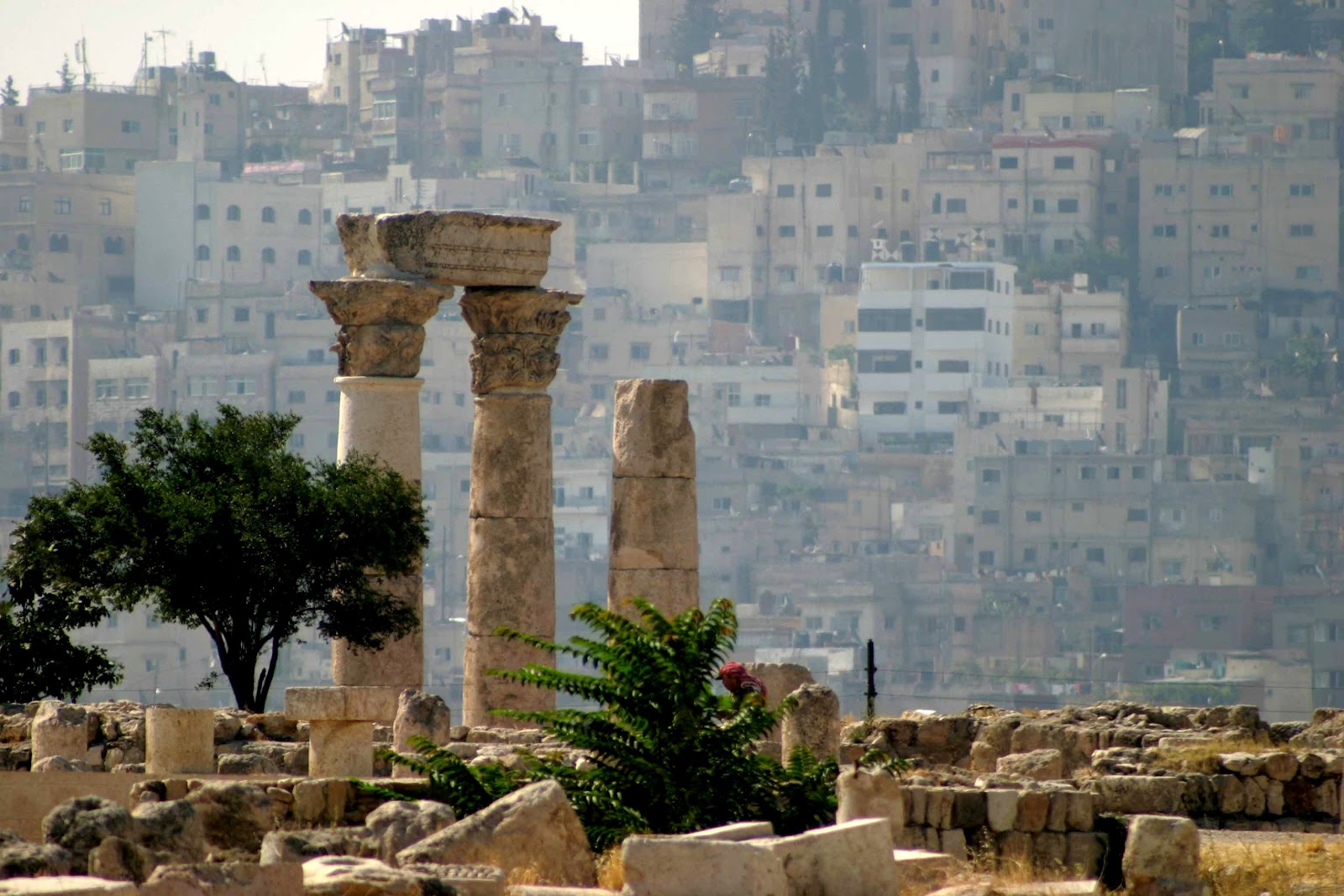 Jordan ( الأردن ). A voyage to Jordan, Middle East - Amman, Az Zarqa ...