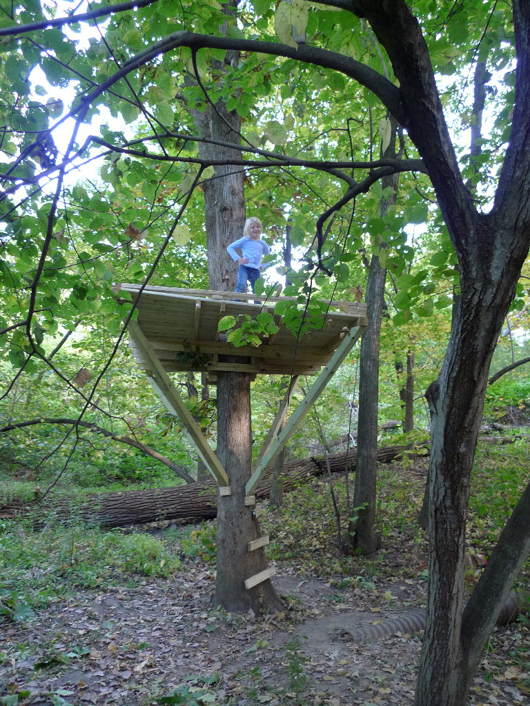 the allen family bermuda triangle: treehouse v. 2.0