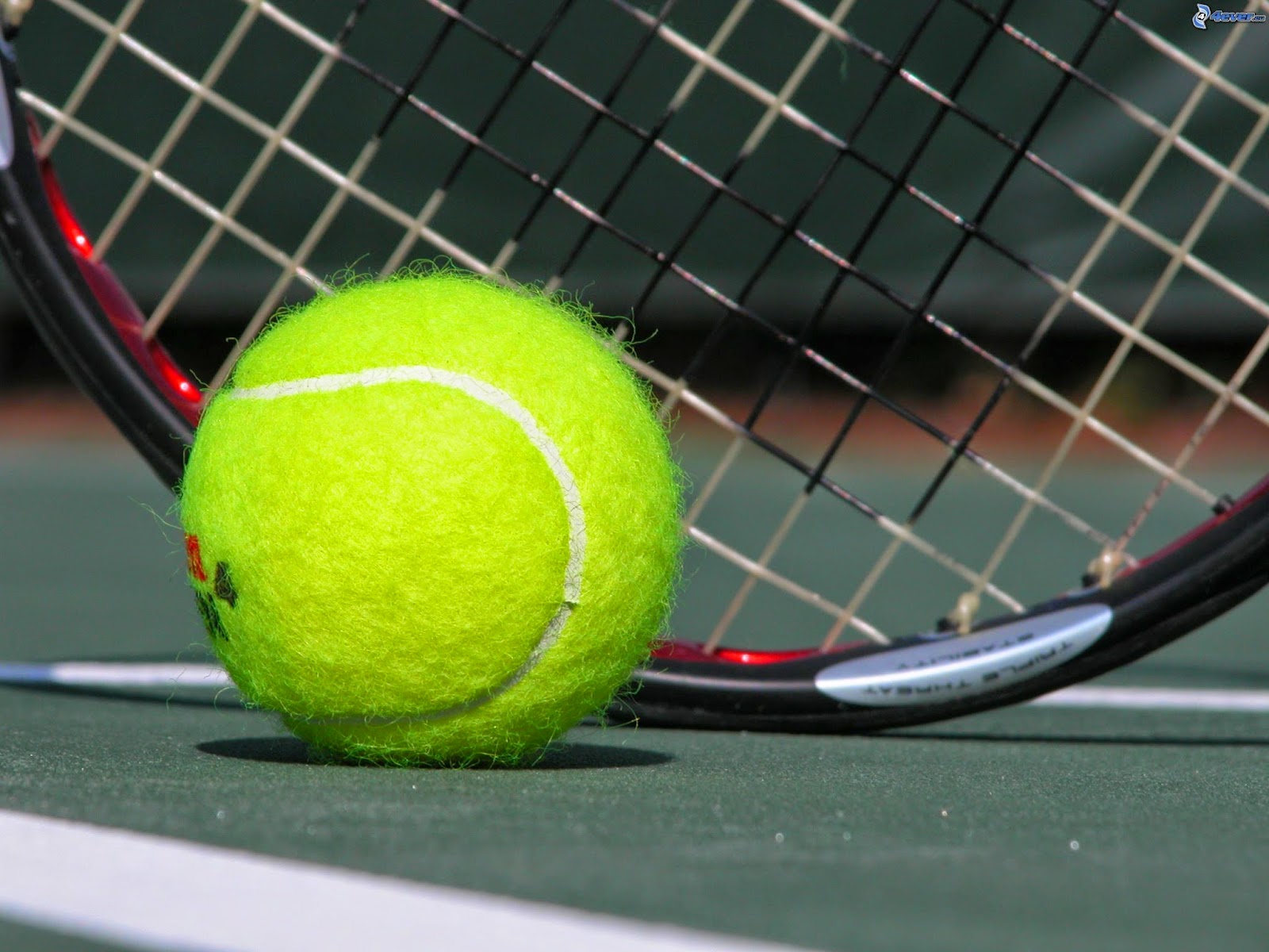 Tenis: ¿Qué es el tenis? (como concepto)