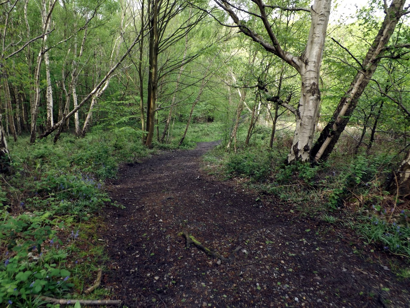 My Adventures 3: Cobham to Luddesdown Kent Circular walk 3rd May 2018