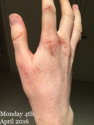 Hand-some | TSW Cara