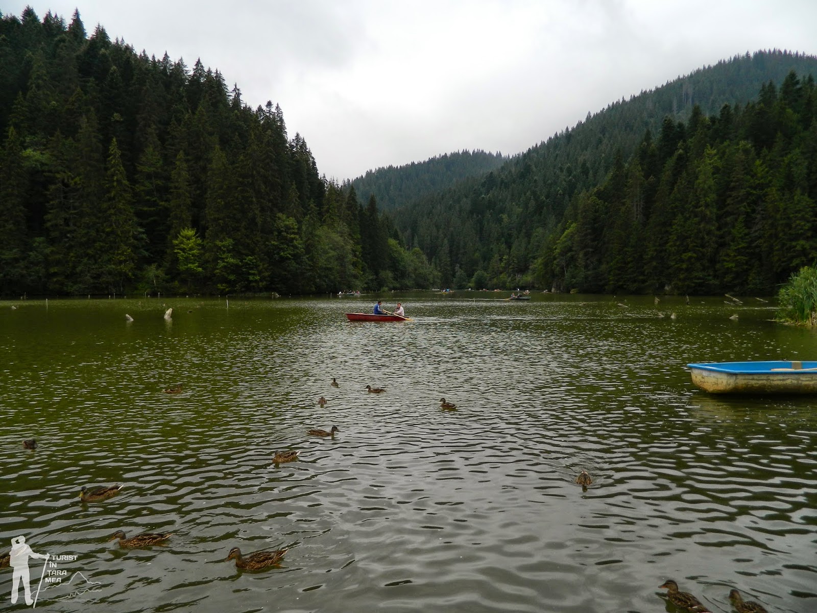 Lacul Roșu