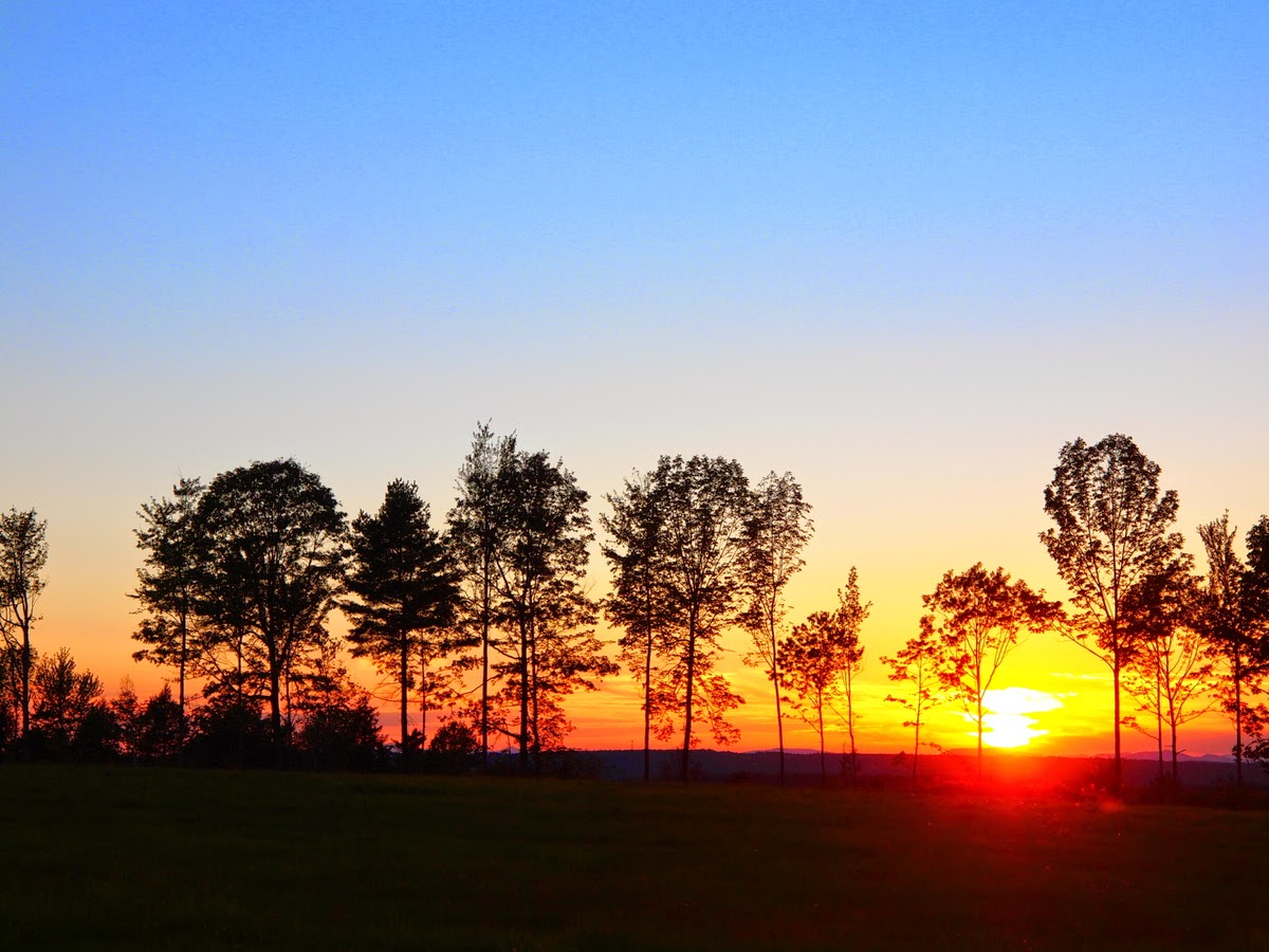 Secrets of Sherwood: Chapter 9 Part 1