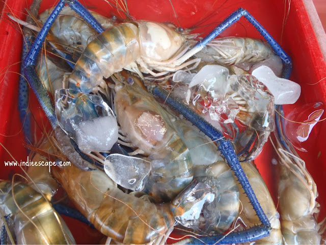 Dingalan: Aurora's Cul de Sac | Indie Escape