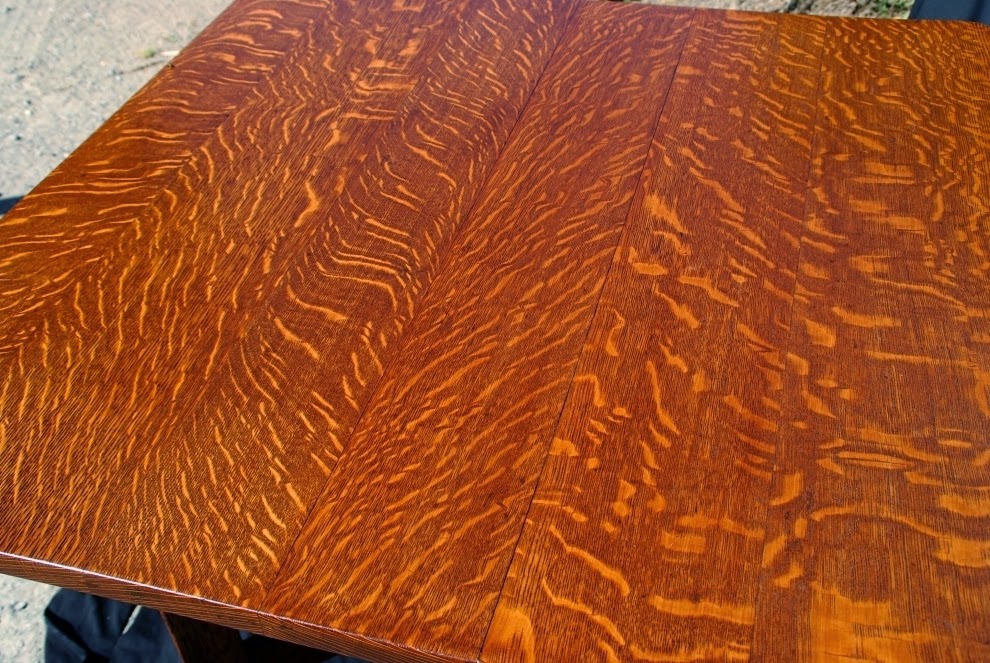 레드 오크와 화이트 오크의 구분과 특징 | Bittersweet Story