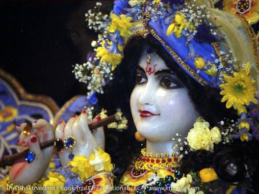 wallpaper: krishan ji snap