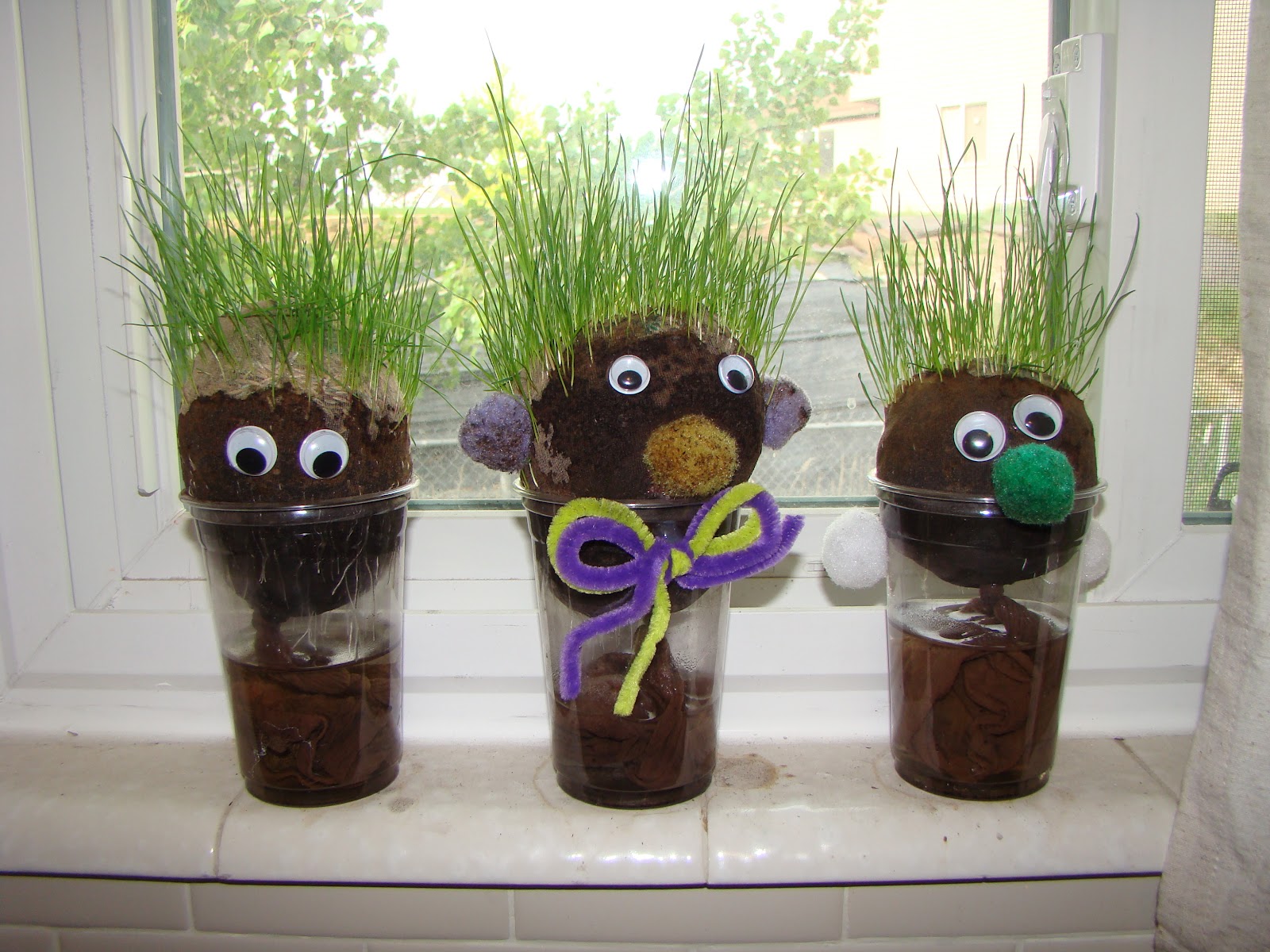 What have I done now?: Grass people