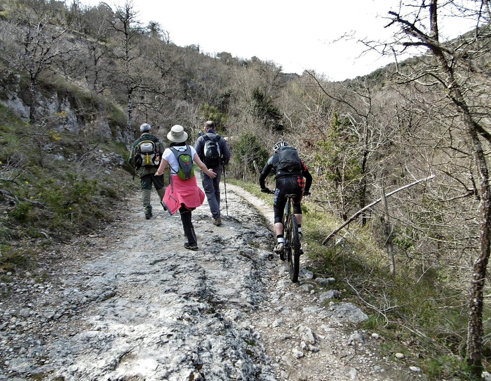 TRACKSRIOJA: Okina-Desfiladero del río Ayuda-Albaina--Senderísmo