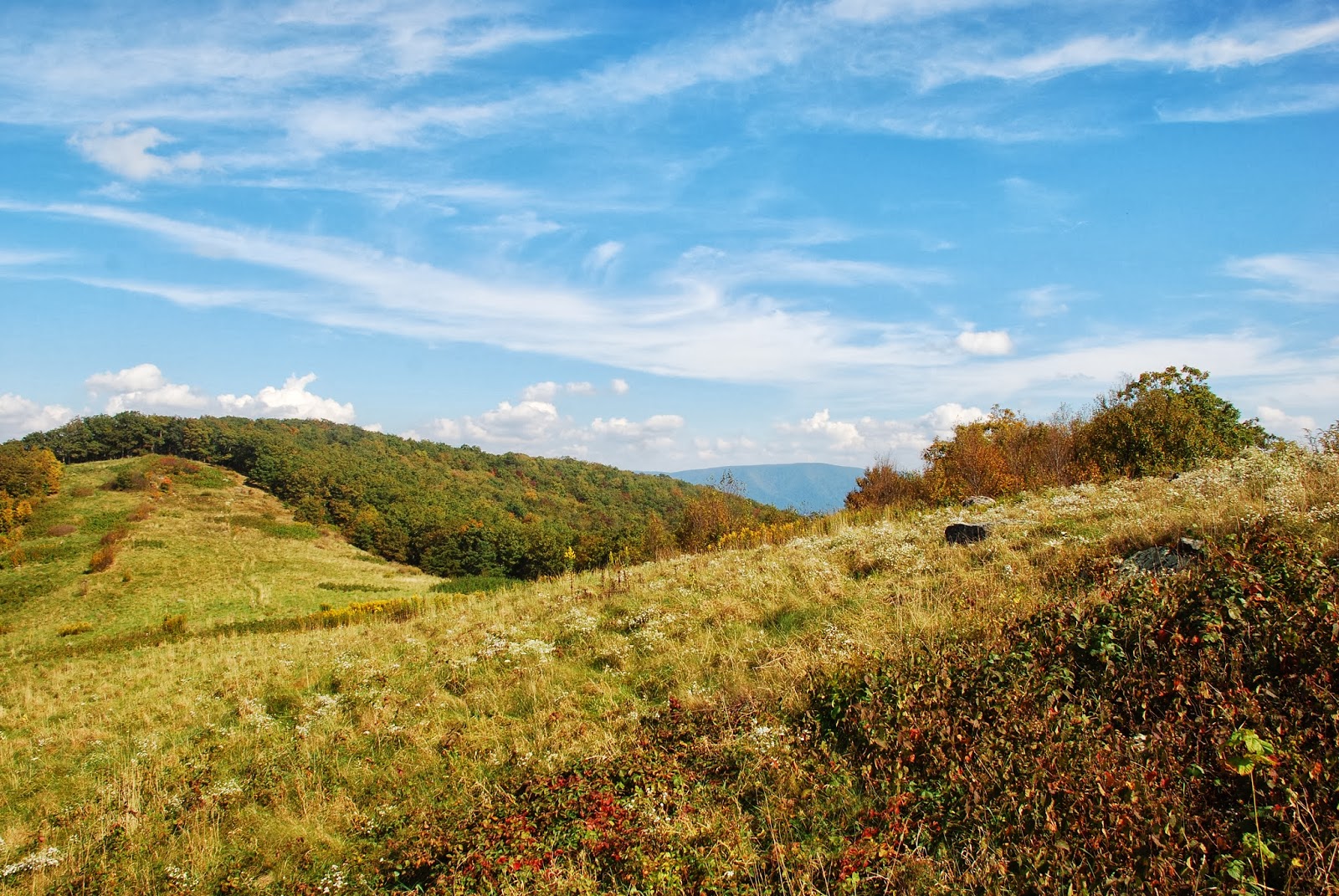The Hiking Hokie: Hikes in Southwest Virginia