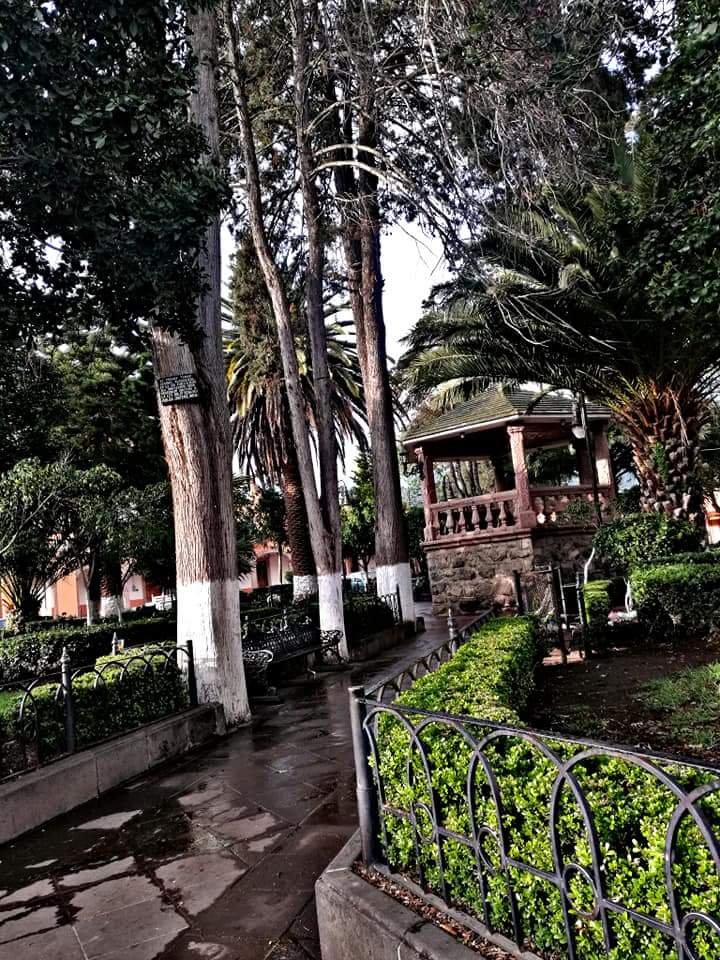 Contepec Michoacán.