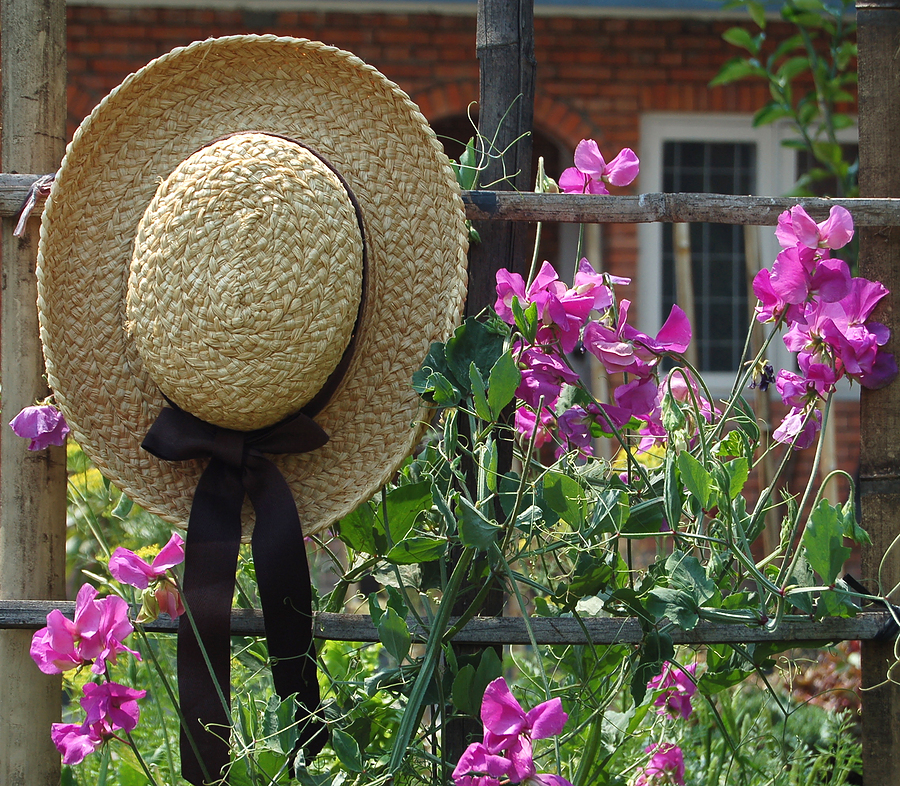 What is Your True Garden Personality and Style? A Questionnaire