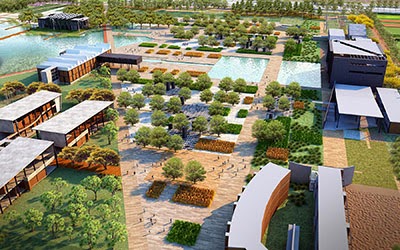 We can change the world: CUTonala is on its way!