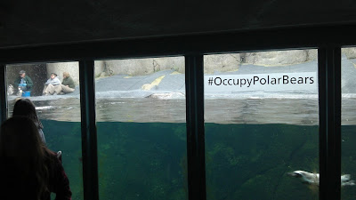 Occupy Polar Bears!