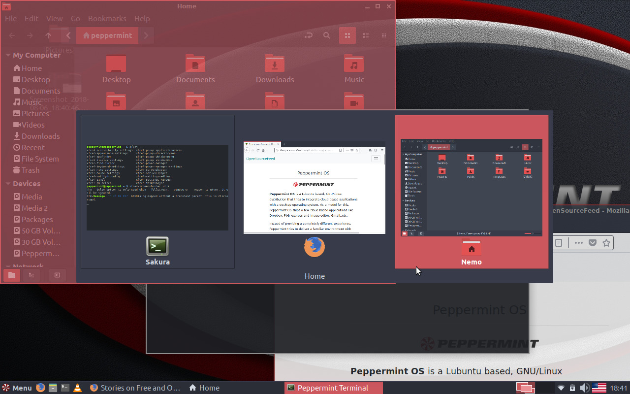 Peppermint OS 9 screenshots