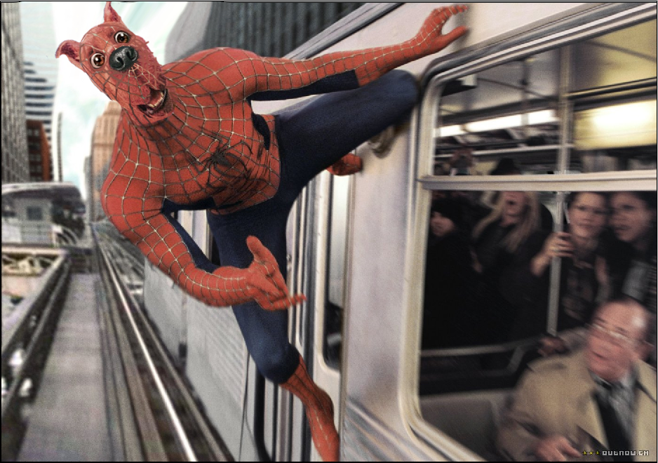 Matts blog:): spider doo (finish)