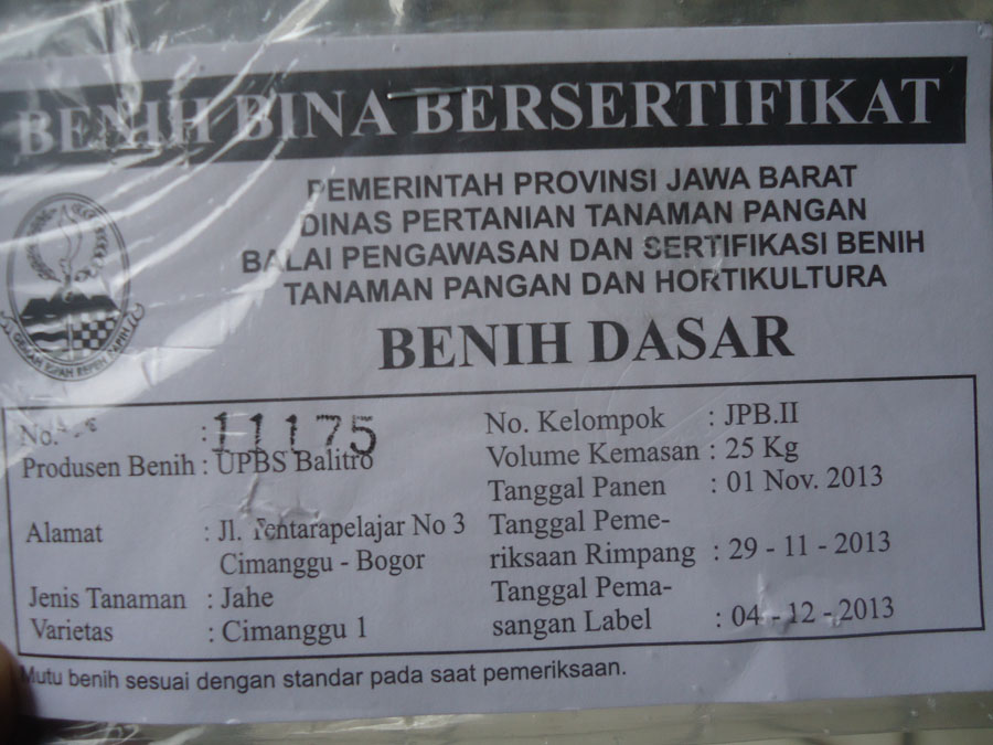 Jual Bibit Jahe Gajah, Merah & Mprit Bersertifikat Harga Murah ...