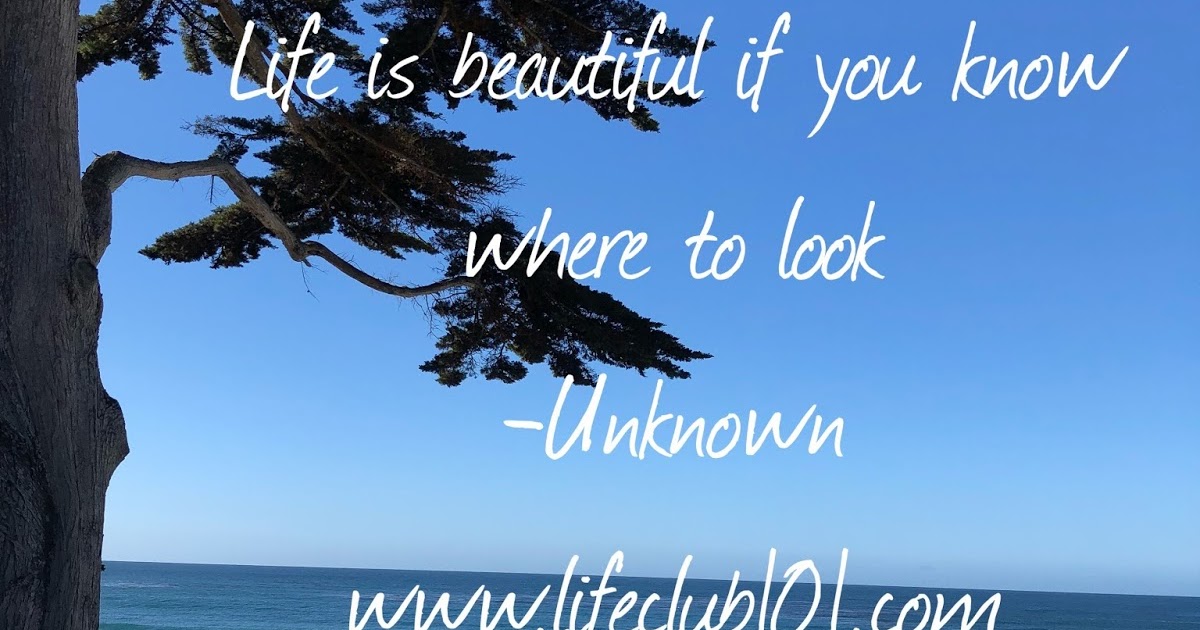 Life is so beautiful.Live your life and enjoy every moment of it: Life ...