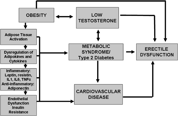 Ramayya Pramila Urology Hospital Obesity And Sex