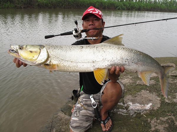 ANGLING WORLD 魔魚釣界: Monster Fish in China - Yellow Cheek!!