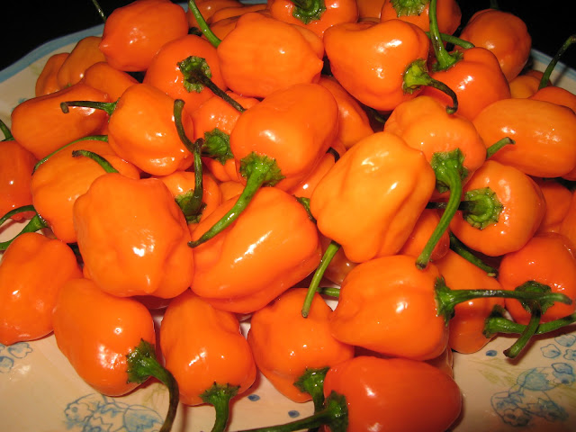 Extreme Hot Peppers