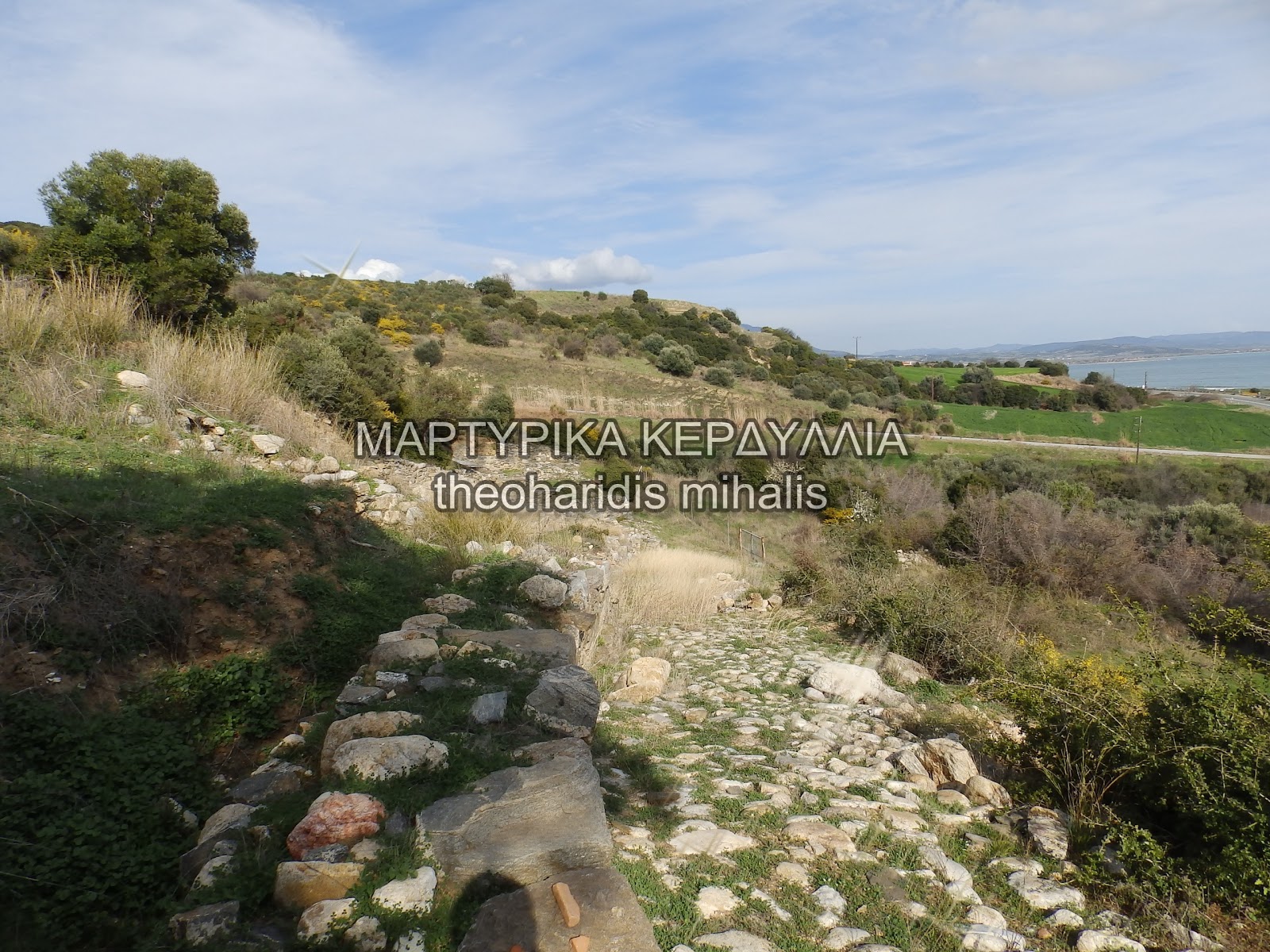 Η ΑΡΧΑΙΑ ΑΡΓΙΛΟΣ ΣΤΑ ΜΑΡΤΥΡΙΚΑ ΚΕΡΔΥΛΛΙΑ ΣΕΡΡΩΝ - Ancient Argilos ...