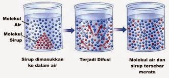 Struktur Sel dan Komponen Kimiawinya serta Proses yang Terjadi pada Sel ...