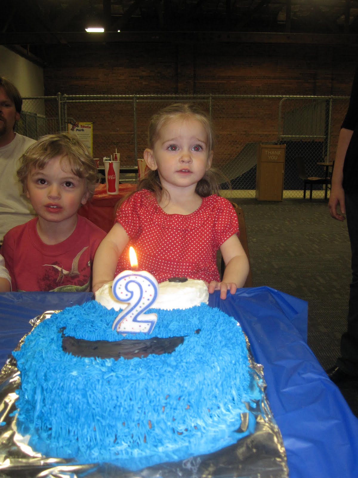 The Domrese Family Blog: Happy 2nd Birthday Party Girls!