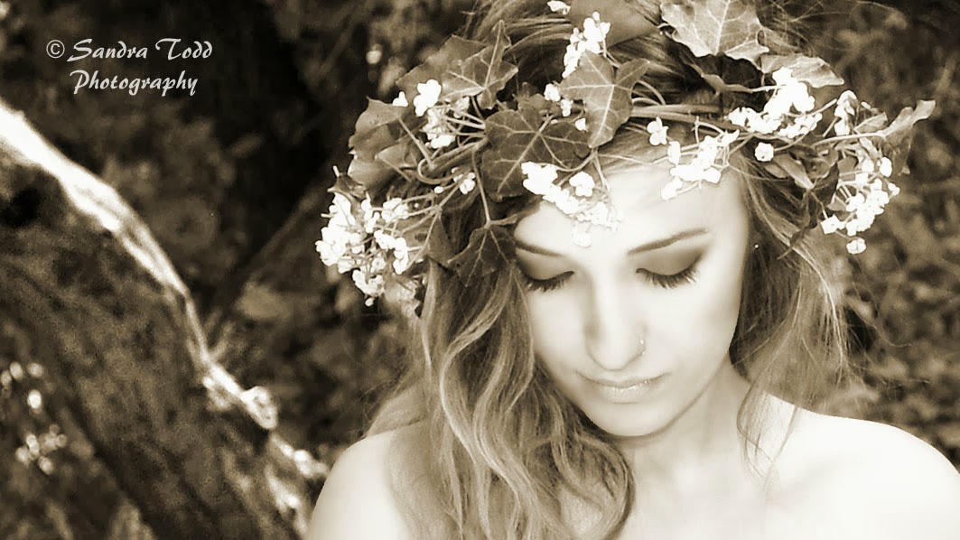 Sandra Todd Photography: December 2013