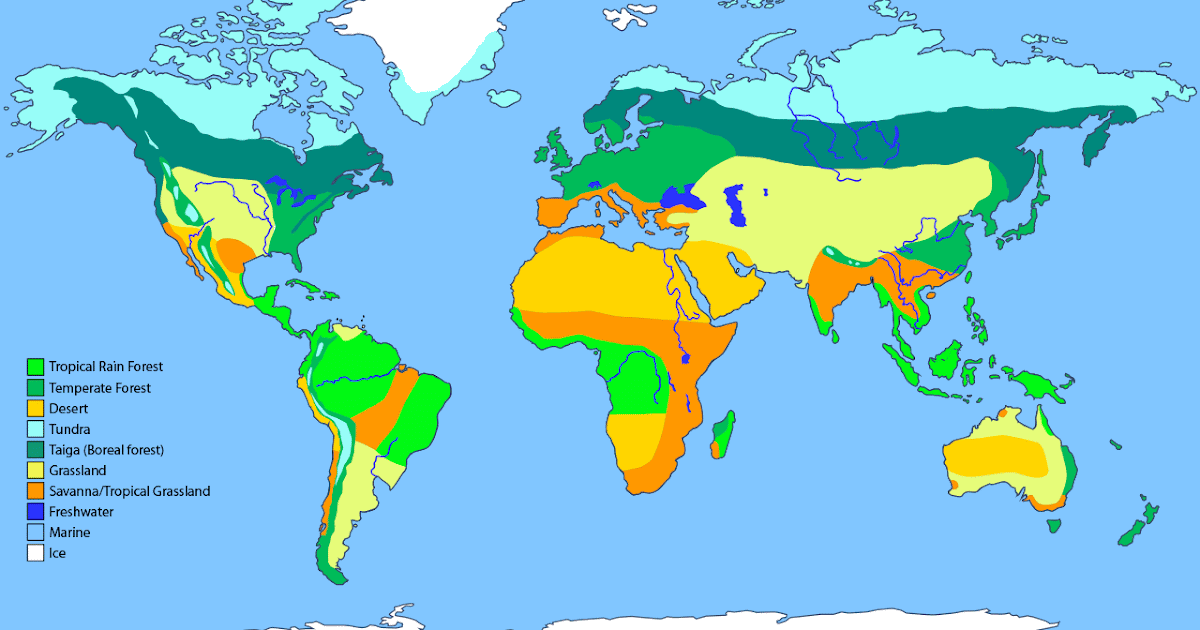 Biome, Niche, Ecosystem, Food Chains and Food Webs