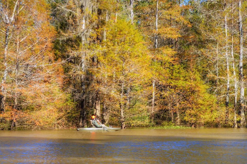 Kints: The Unfathomed: Big Swamp and Big Lake, 22 November 2015