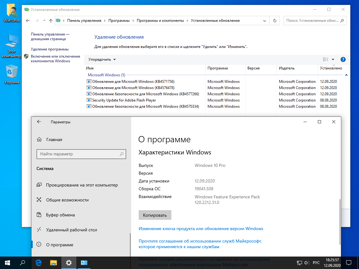 Windows 10 Pro 2004 b19041.630 x64 ru by SanLex (edition 2020-11-24 ...