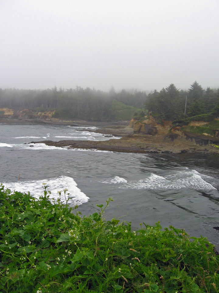 Going RV Way: Foggy, Overcast Oregon Day