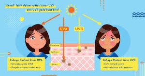 Perbedaan Sinar UVA dan UVB Serta Pengaruhnya Pada Kulit