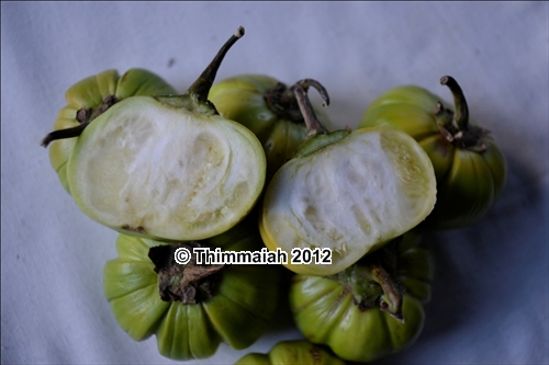 Regenerative agriculture and Innovation: Bitter Tomato : A Potential ...