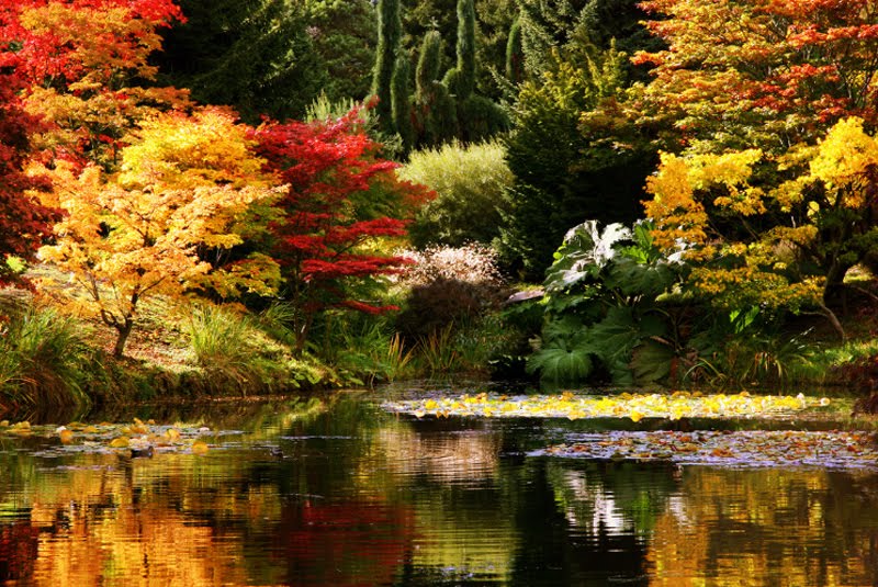 MY ARCHITECTURAL MOLESKINE®: VANDUSEN BOTANICAL GARDEN, VANCOUVER