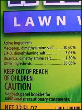 Common Commercial Insecticide Formulations available in Punjab, Pakistan