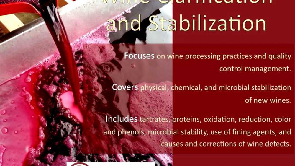 Clarification and stabilization of wine