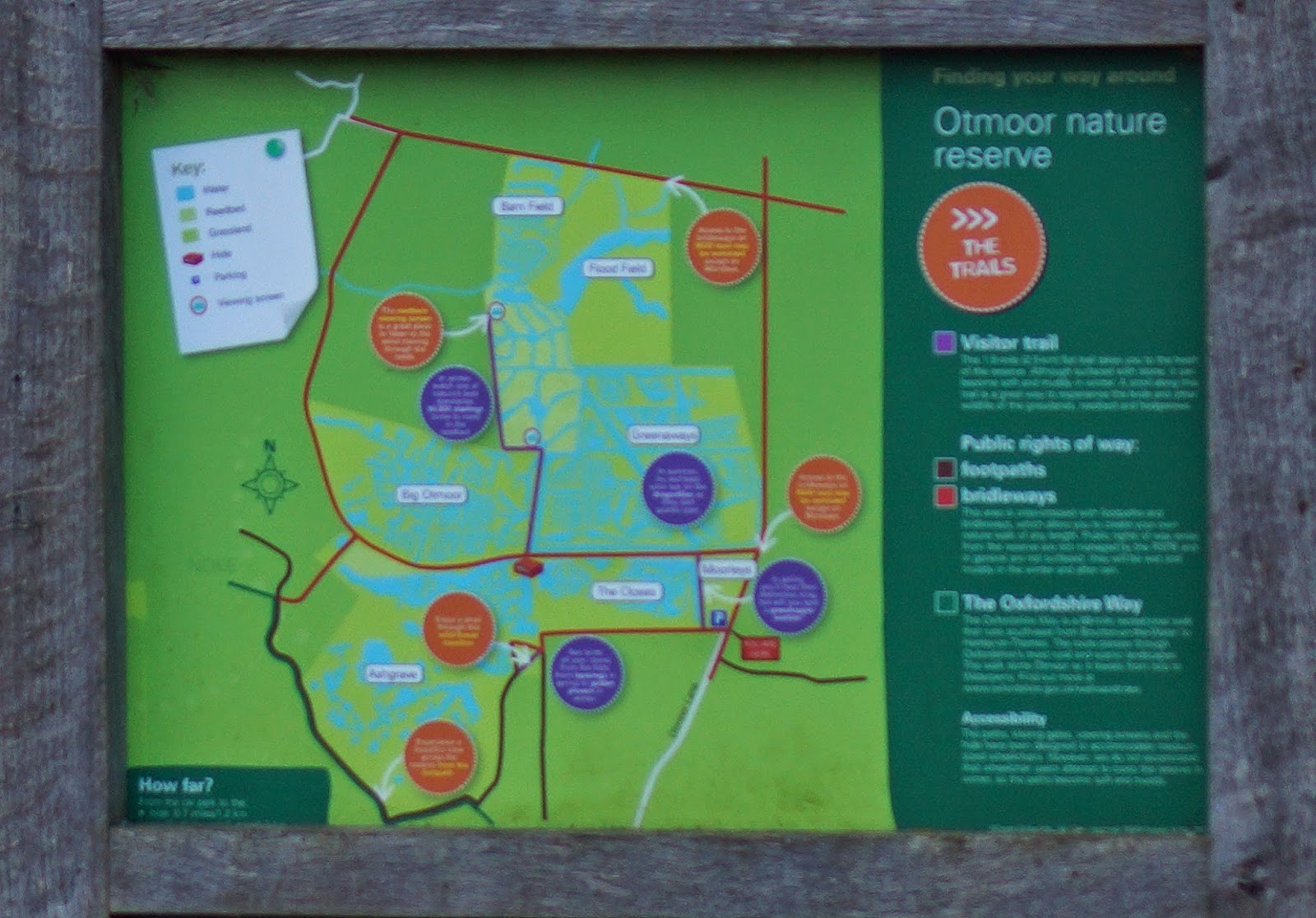 Wino Wendys Wildlife World : The Cranford Birders descend on RSPB Otmoor